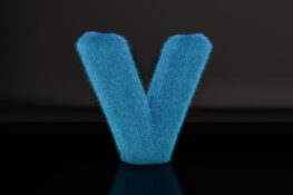 500+ Objects That Start with V (Household Items, Clothing & More ...