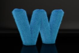 700+ Objects That Start with W (Household Items, Clothing & More ...