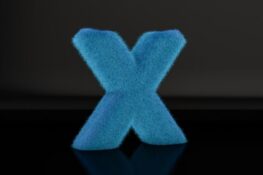 120+ Objects That Start with X (Household Items, Clothing & More ...